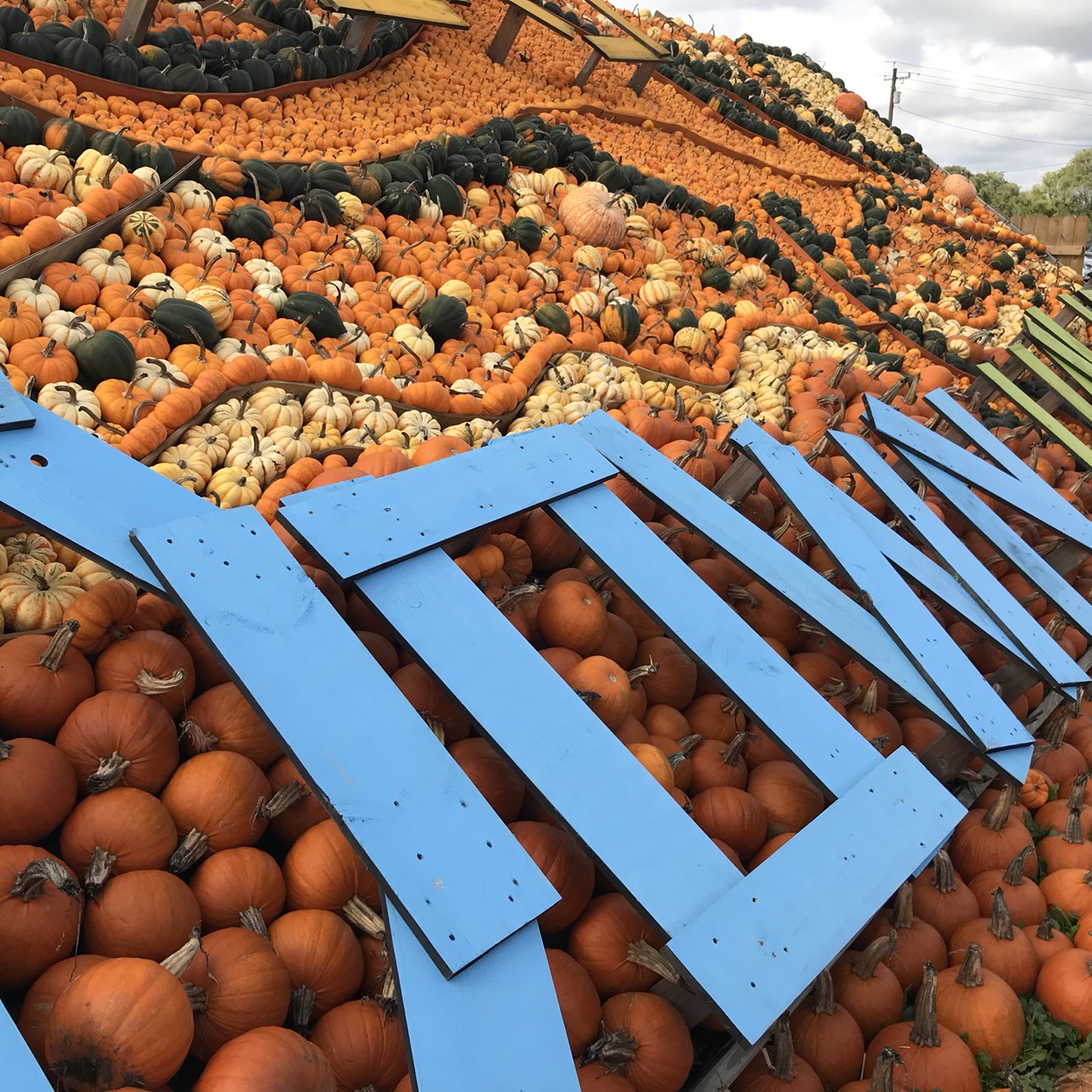 Macro-sized crop art! Sever’s Fall … | Jamie Thingelstad